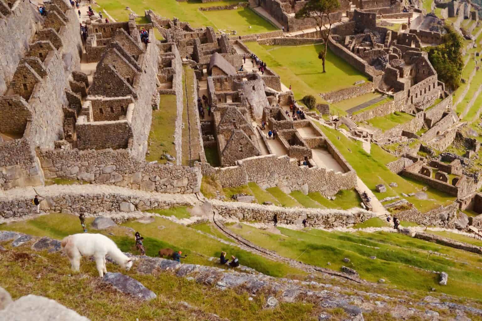 The Ultimate Guide to Climbing Machu Picchu Mountain (Yes, it's Worth ...